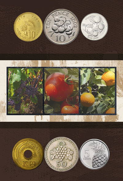 Hobby of Kings | Limited edition products made from collectibles