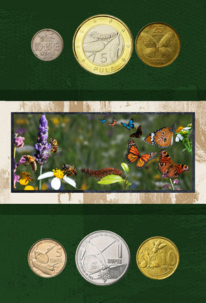 Hobby of Kings | Limited edition products made from collectibles