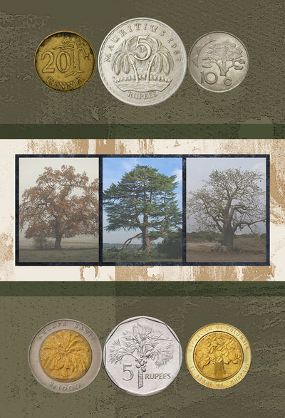 Hobby of Kings | Limited edition products made from collectibles