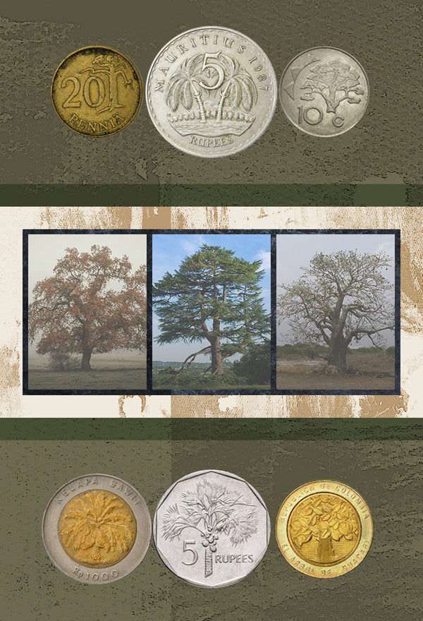 Hobby of Kings | Limited edition products made from collectibles