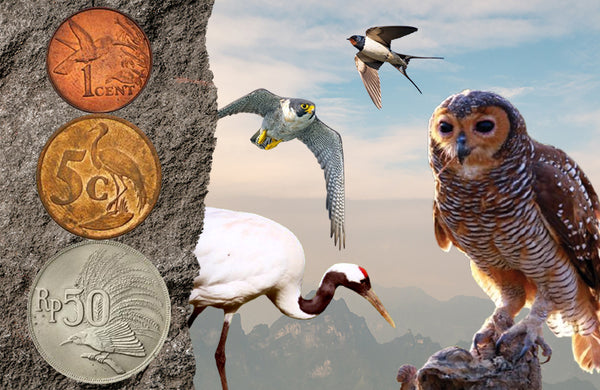 Hobby of Kings | Limited edition products made from collectibles