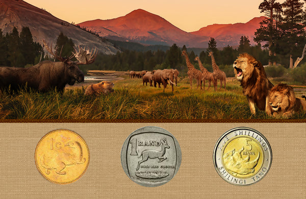 Hobby of Kings | Limited edition products made from collectibles